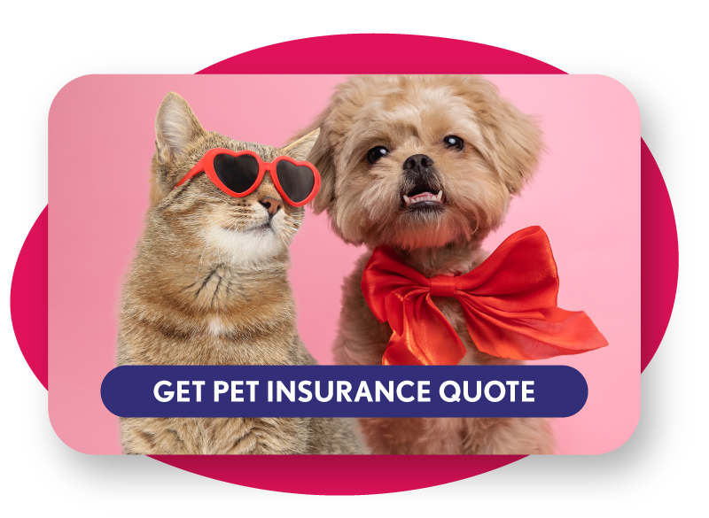 Home | Oneplan Insurance