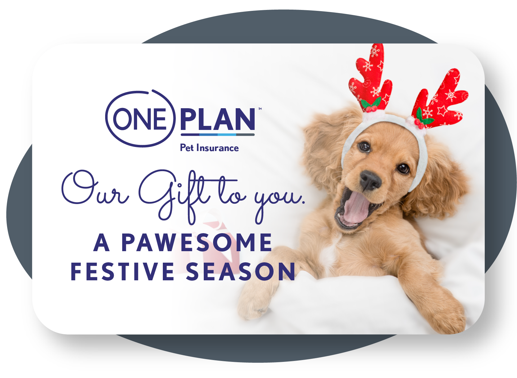 Home | Oneplan Insurance