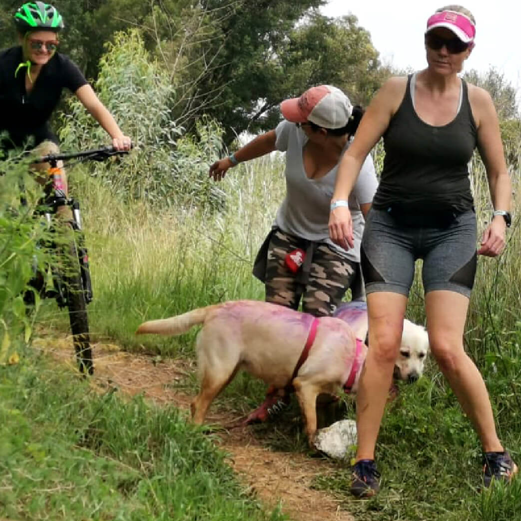 Muddy Puppy | Oneplan Insurance